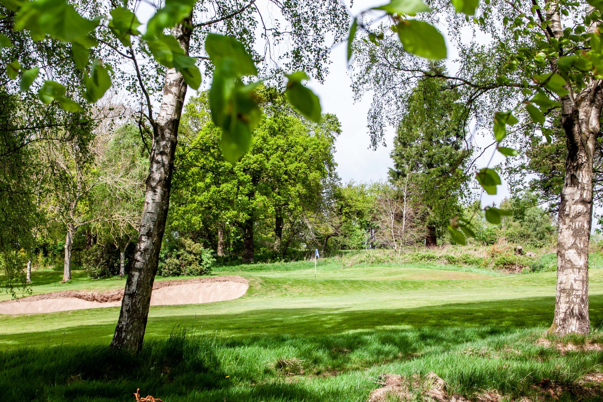Parkland Golf Course in Central Scotland | Tulliallan Golf Club