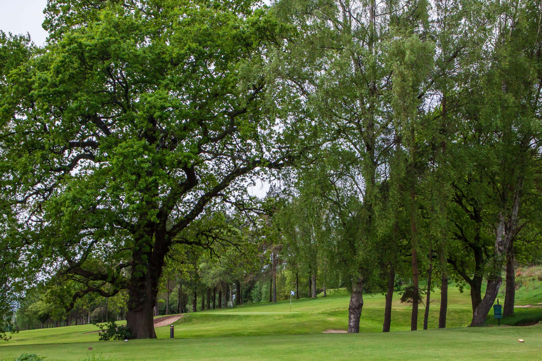 Parkland Golf Course in Central Scotland | Tulliallan Golf Club