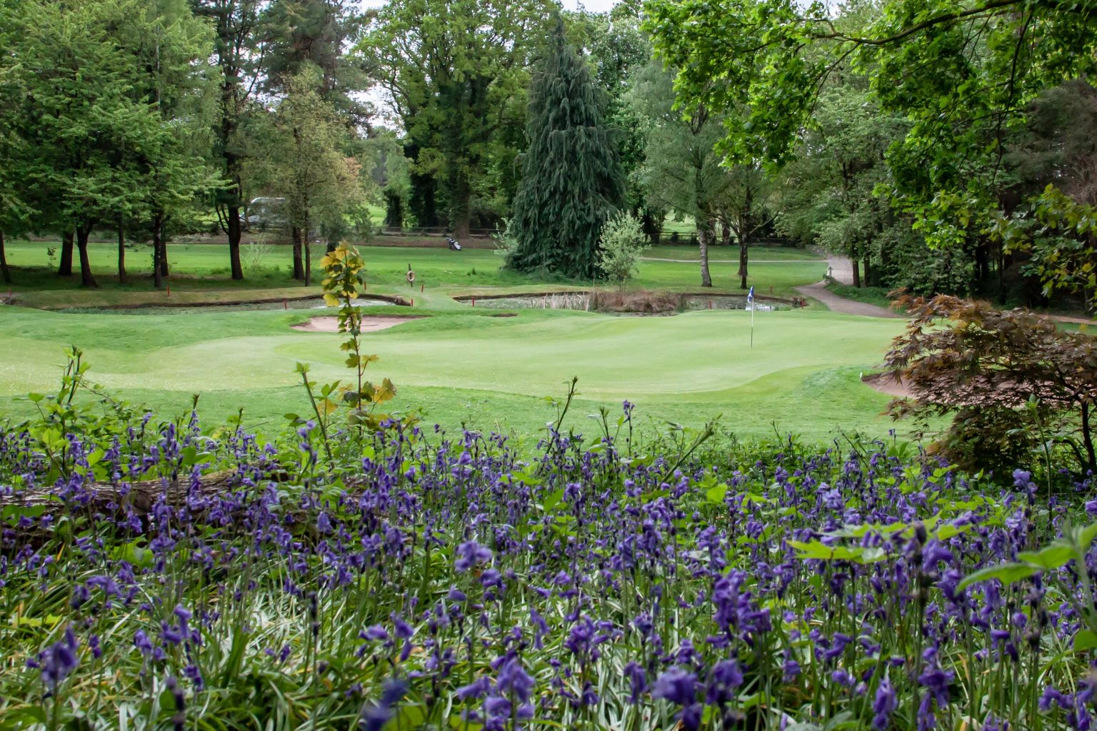 Parkland Golf Course in Central Scotland | Tulliallan Golf Club
